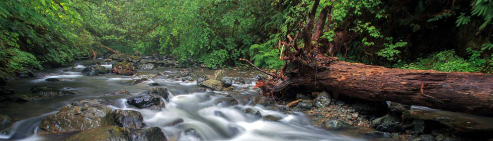 Smith River Trail Guide - Smith River Alliance