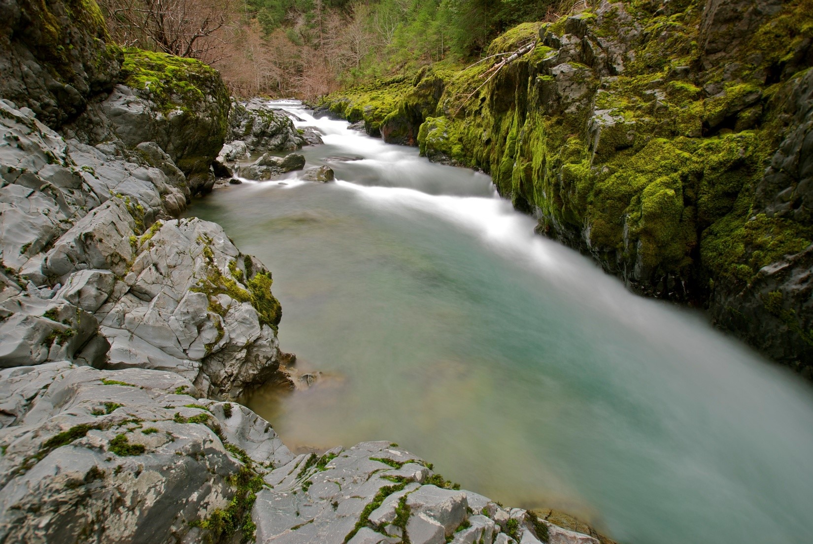 River Guardians Are Vital Partners - Smith River Alliance
